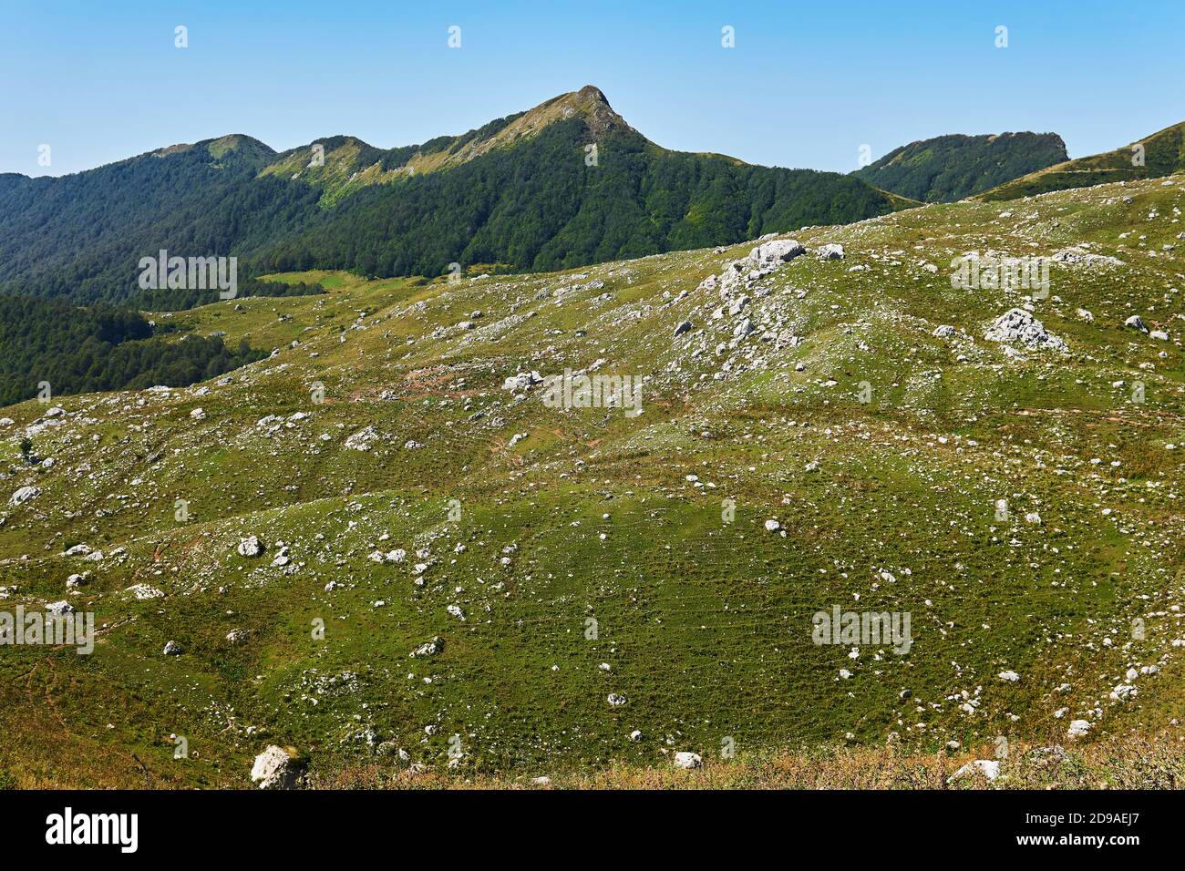 alpine pasture on a rocky slope in the Caucasus Mountains Stock Photo ...