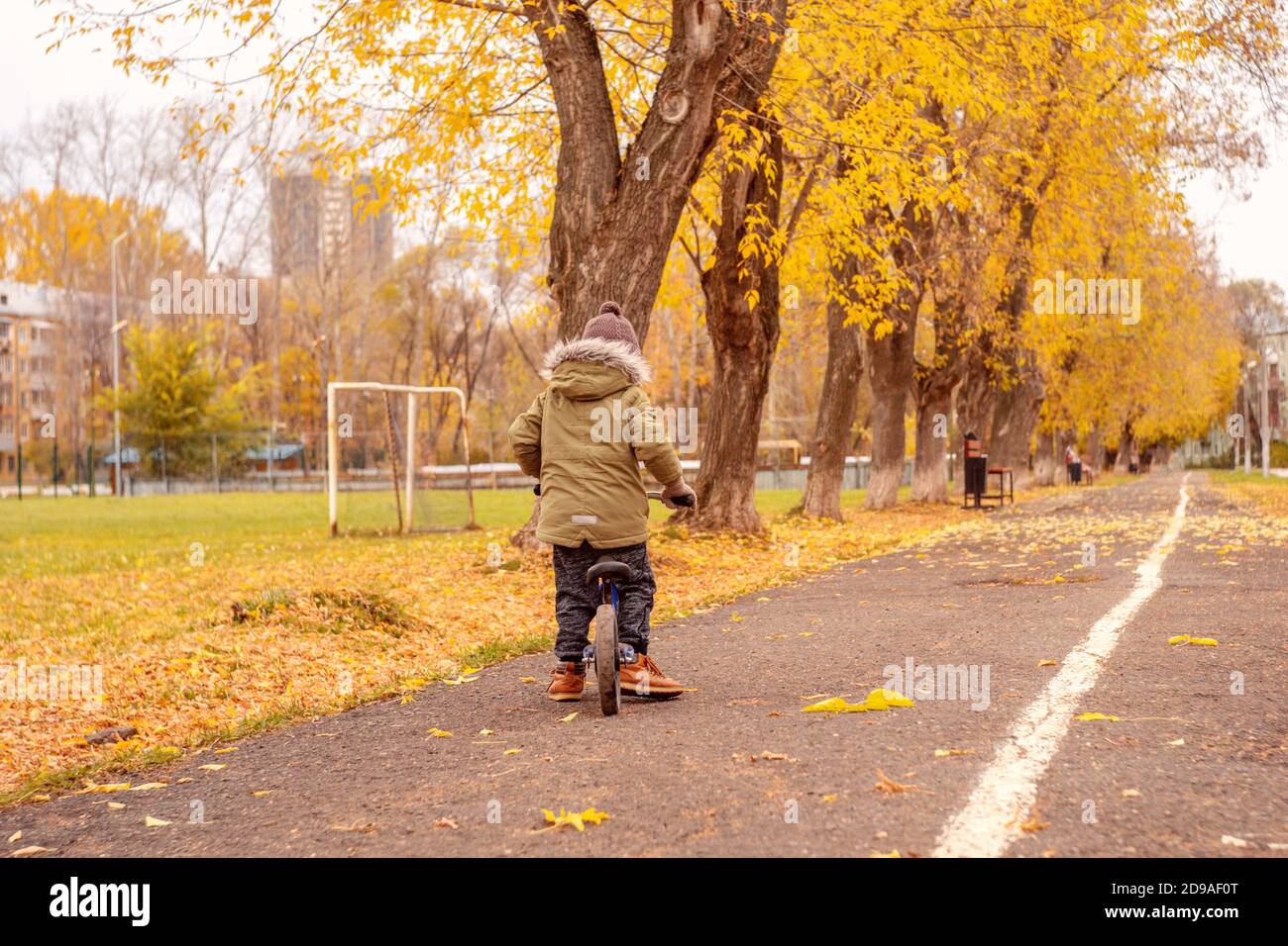 Little boy on a balance bike in the alley. Autumn colors, green, orange ...