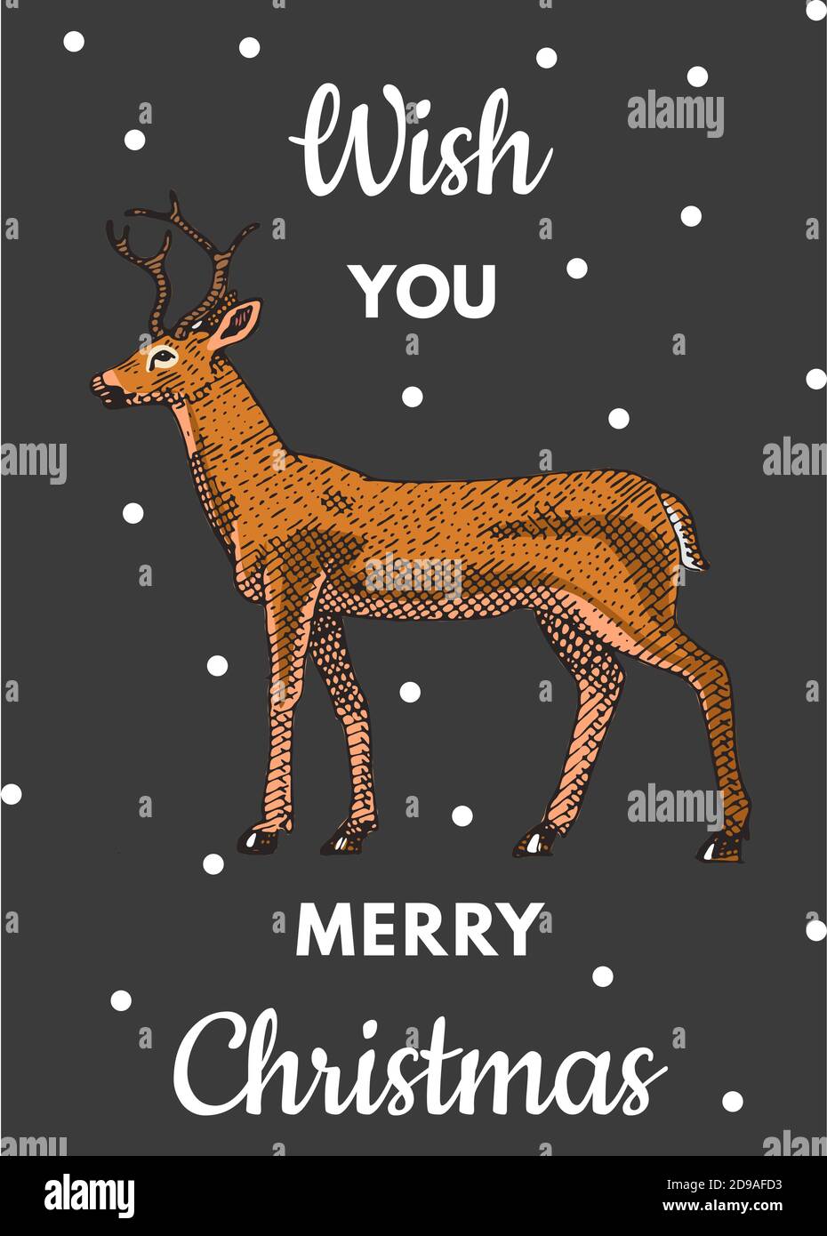 Doe Drawings