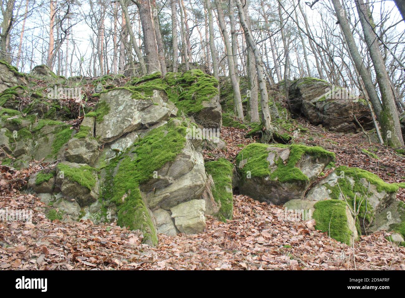 Rough hill woods hi-res stock photography and images - Alamy