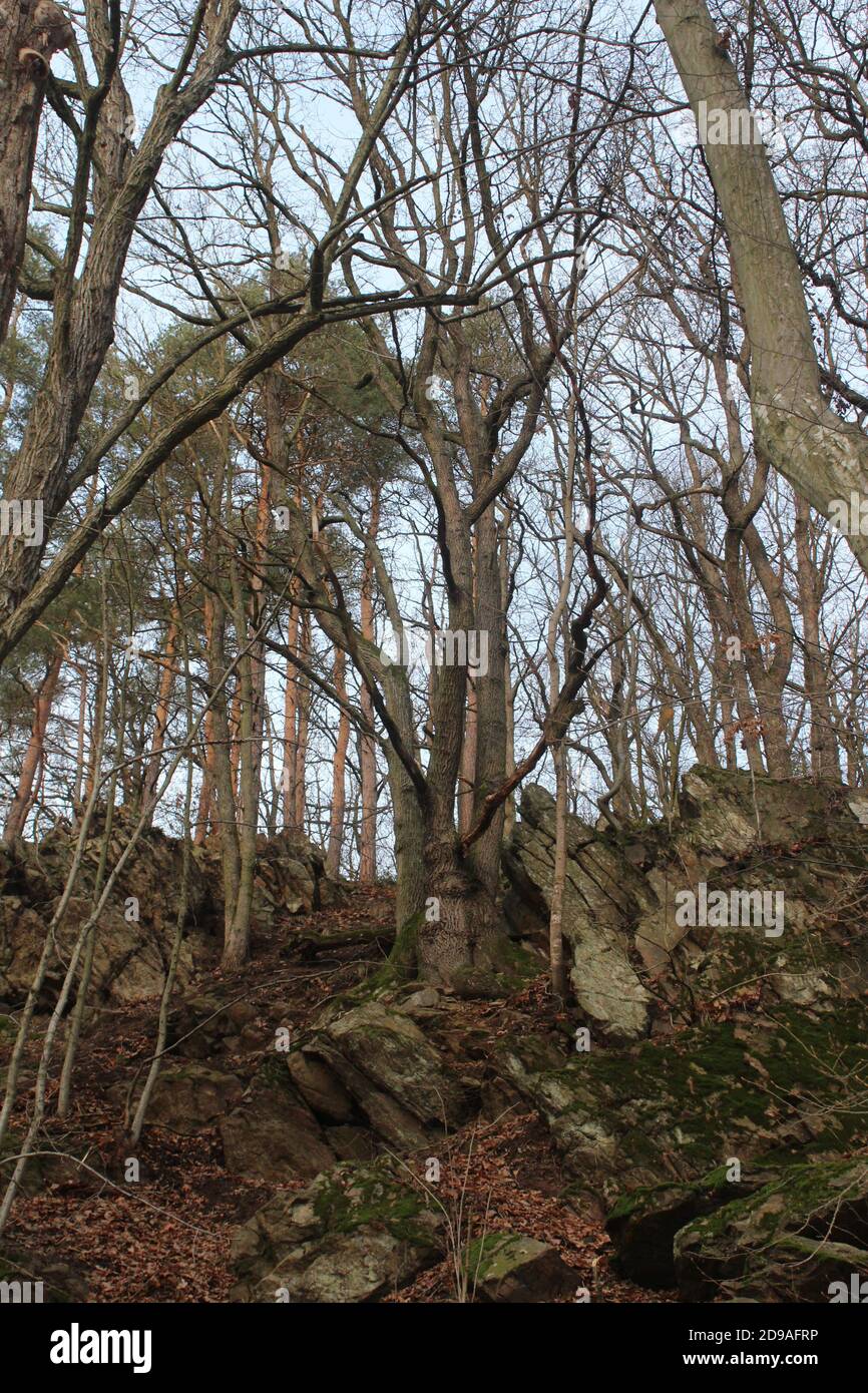 Rocky valley side Stock Photo - Alamy