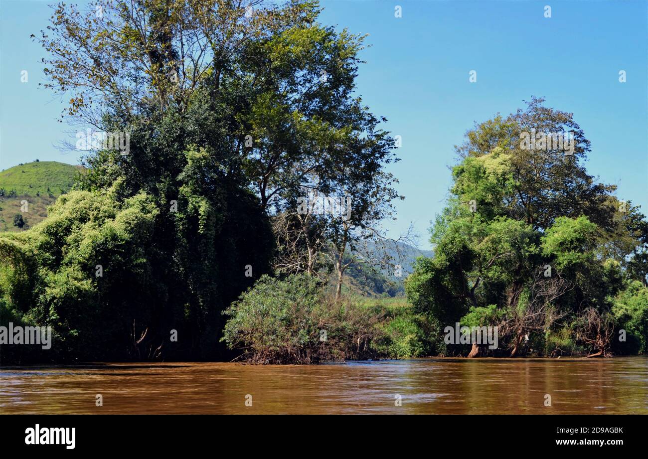 Chiang Rai, Thailand - Mae Kok River Shoreline Trees Stock Photo - Alamy
