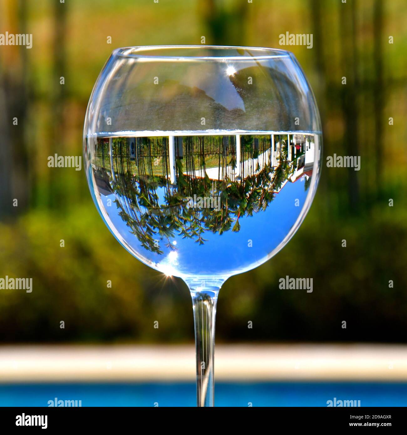 Inverted trees hi-res stock photography and images - Alamy