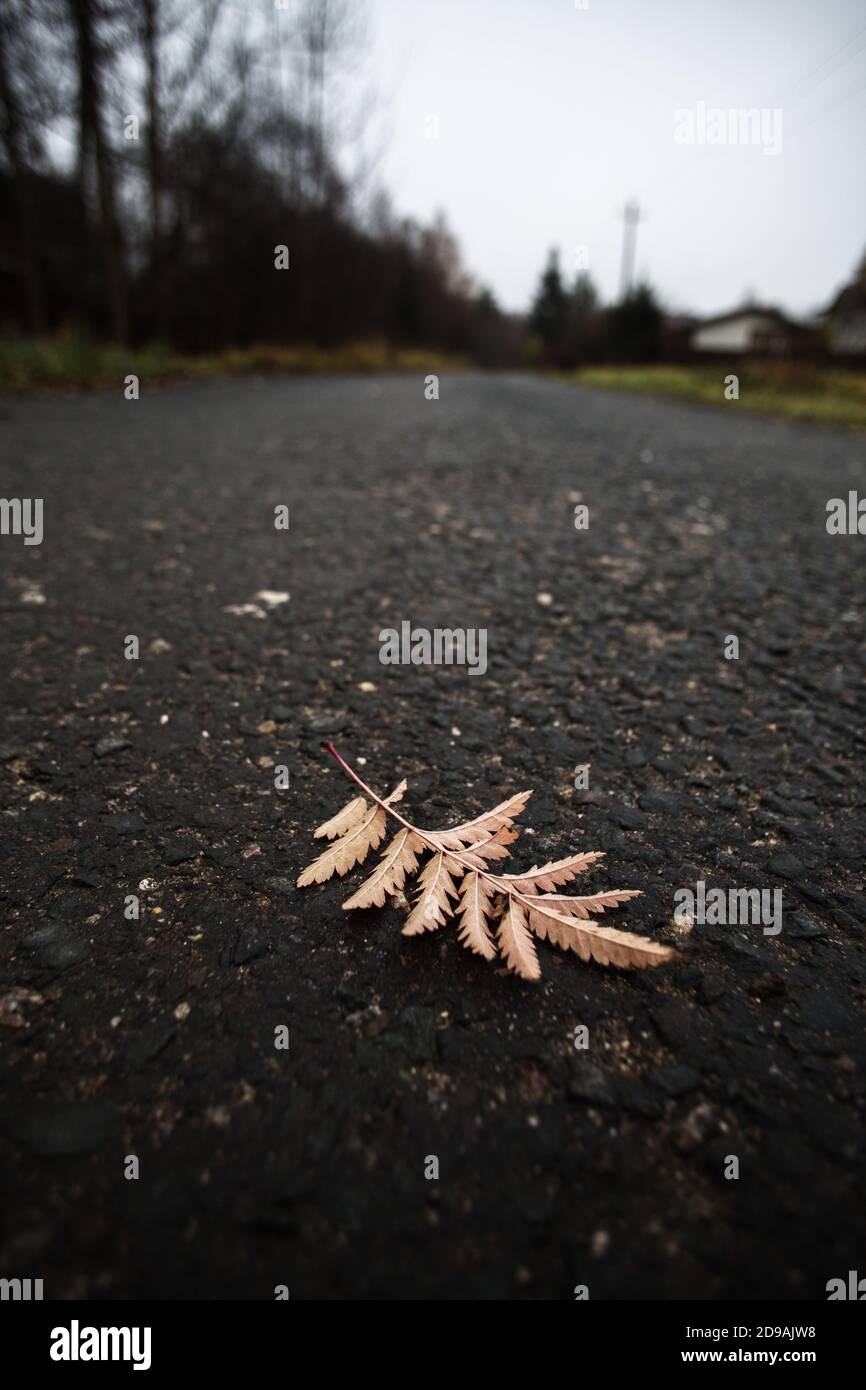Asphalt road low angle hi-res stock photography and images - Alamy