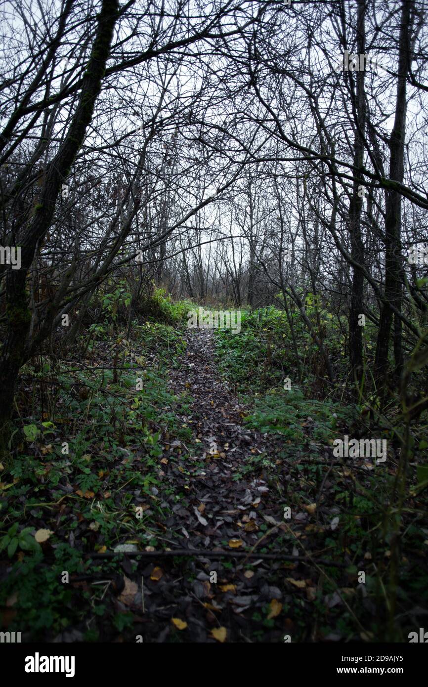 Creepy pathway hi-res stock photography and images - Alamy