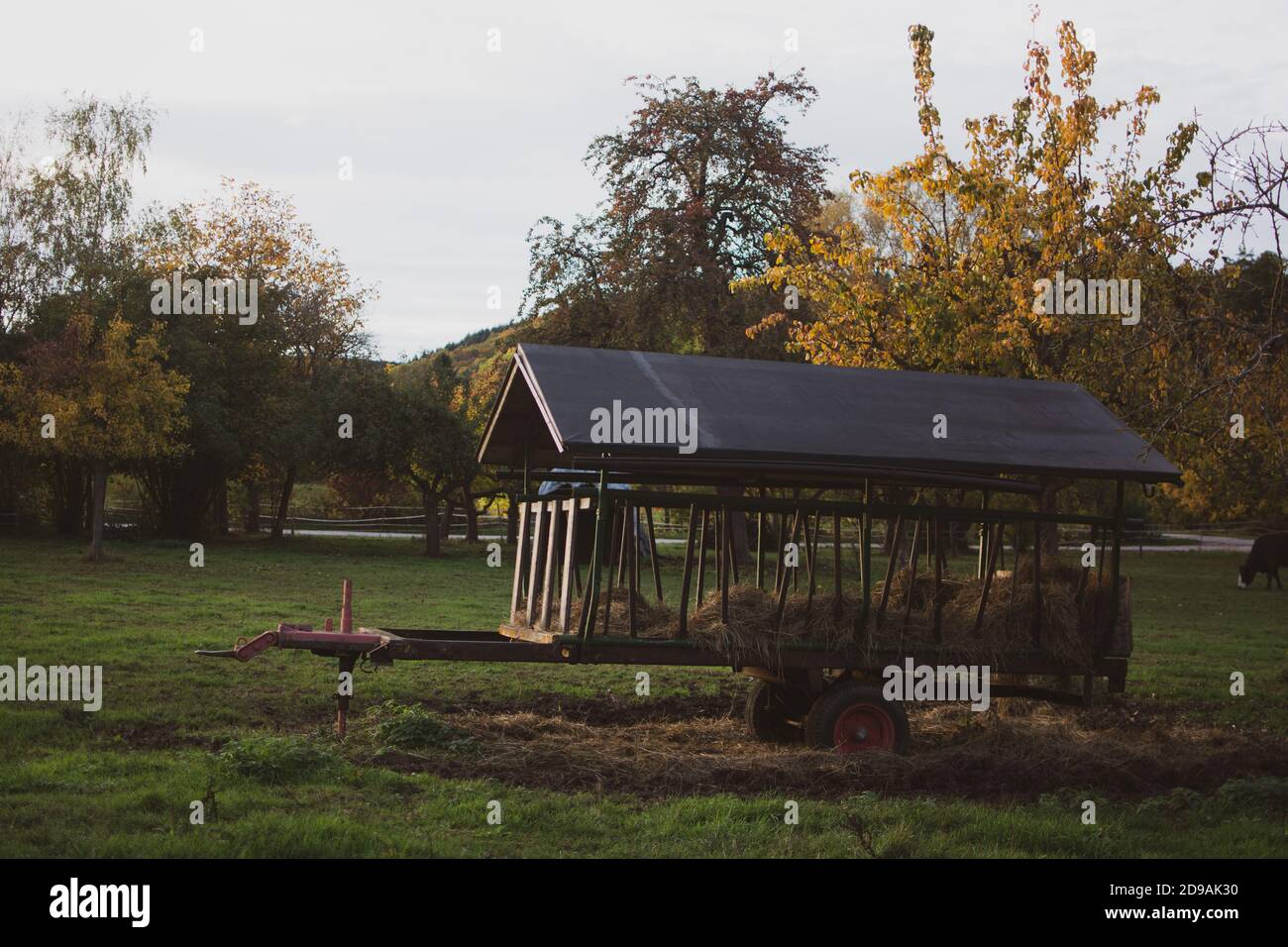 Dray wagon hi-res stock photography and images - Alamy