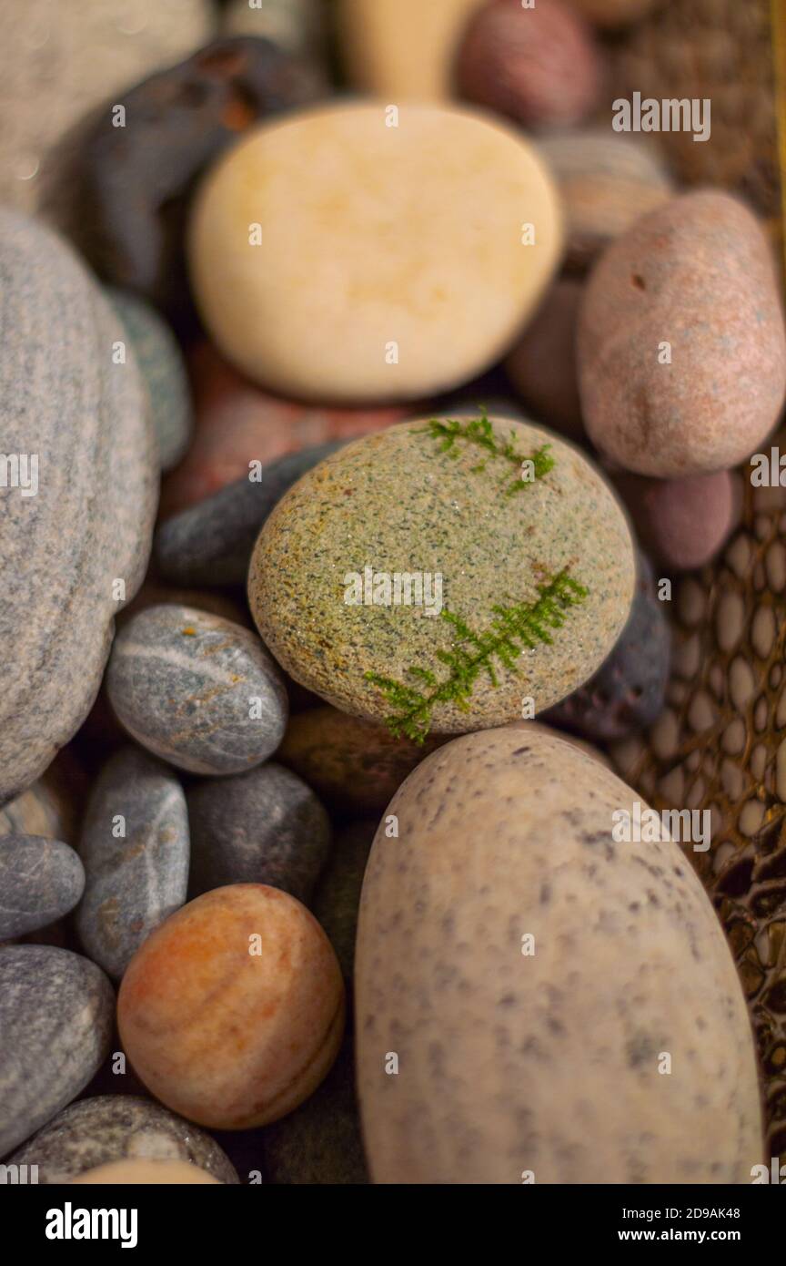 Vertical shot of pebble stones in various colors Stock Photo - Alamy