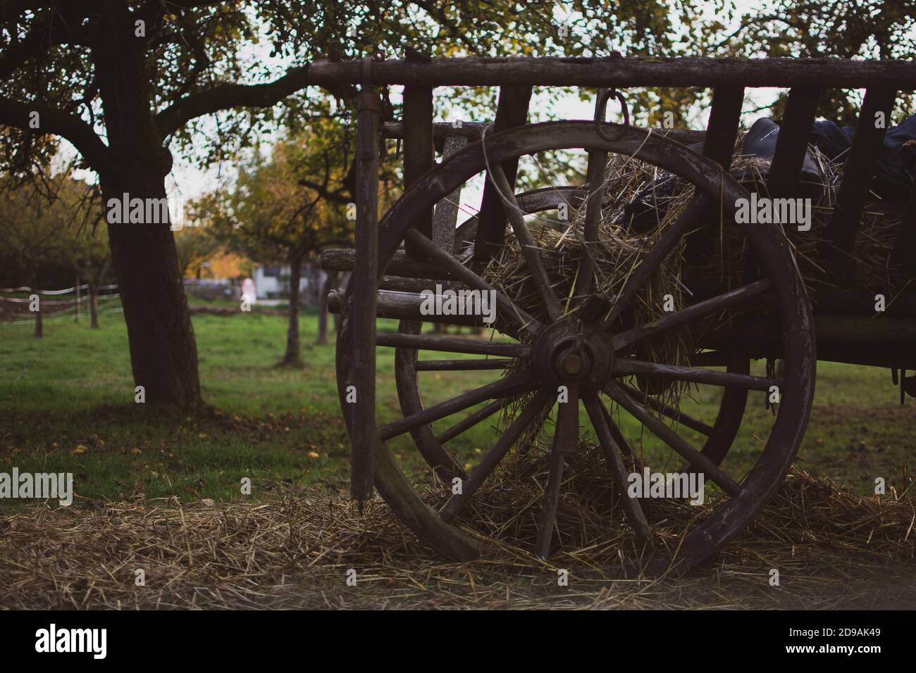 Dray wagon hi-res stock photography and images - Alamy
