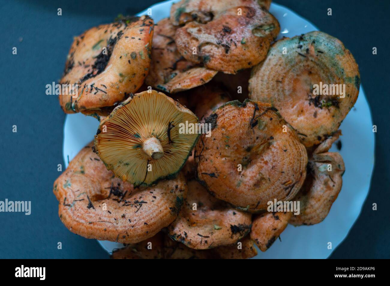 Mantari hi-res stock photography and images - Alamy