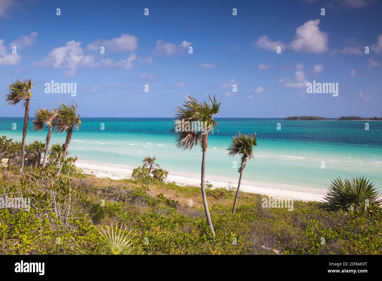 Cuba, Jardines del Rey, Cayo Guillermo, Playa Pilar Stock Photo - Alamy