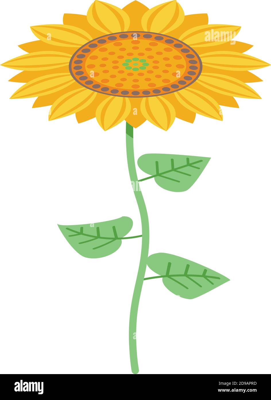 Sunflower plant icon. Isometric of sunflower plant vector icon for web ...