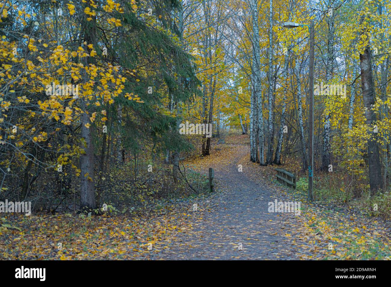 Environment icons high quality hi-res stock photography and images - Alamy