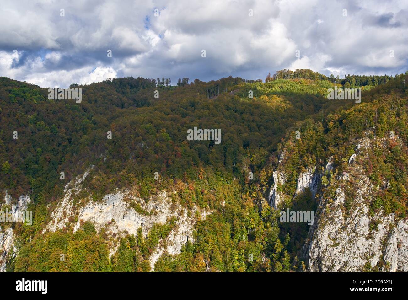 Aerial view cliffs forests in hi-res stock photography and images - Alamy