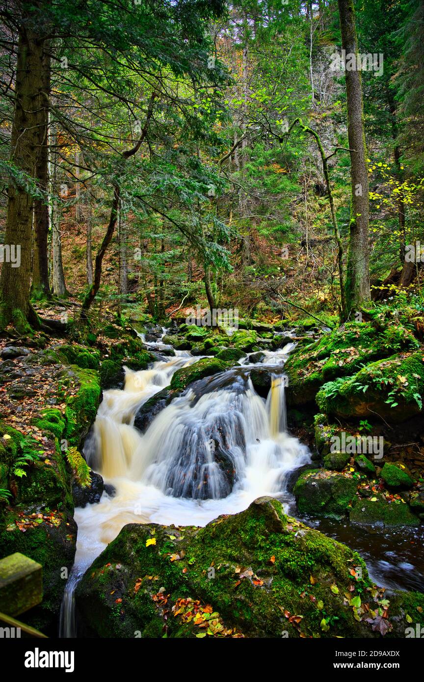 Ravennaschlucht schwarzwald hi-res stock photography and images - Alamy