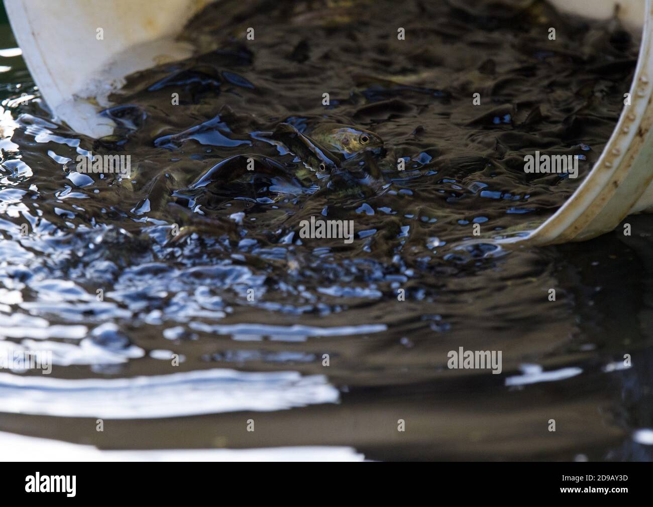 Fish catchment area hi-res stock photography and images - Alamy