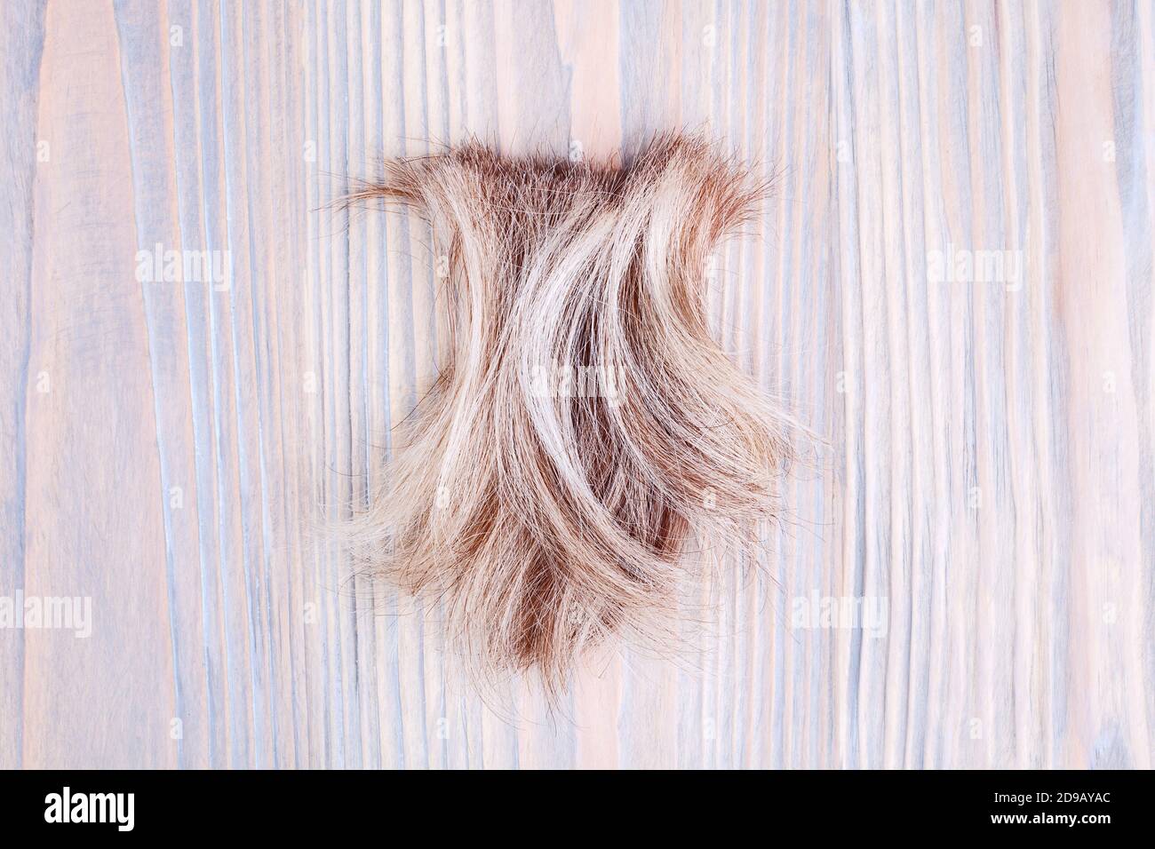 Blond wavy hair lock on light wooden background close up, cut off ...