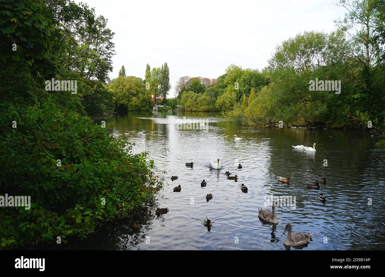 Radwell hi-res stock photography and images - Alamy