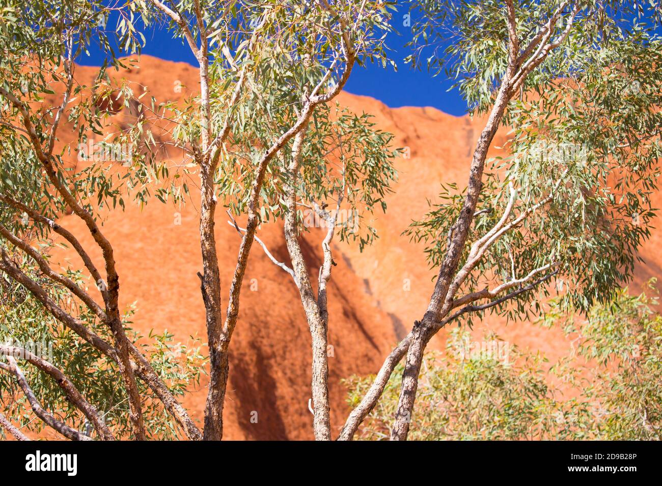 Closeup of Uluru in Northern Territory Australia Stock Photo - Alamy