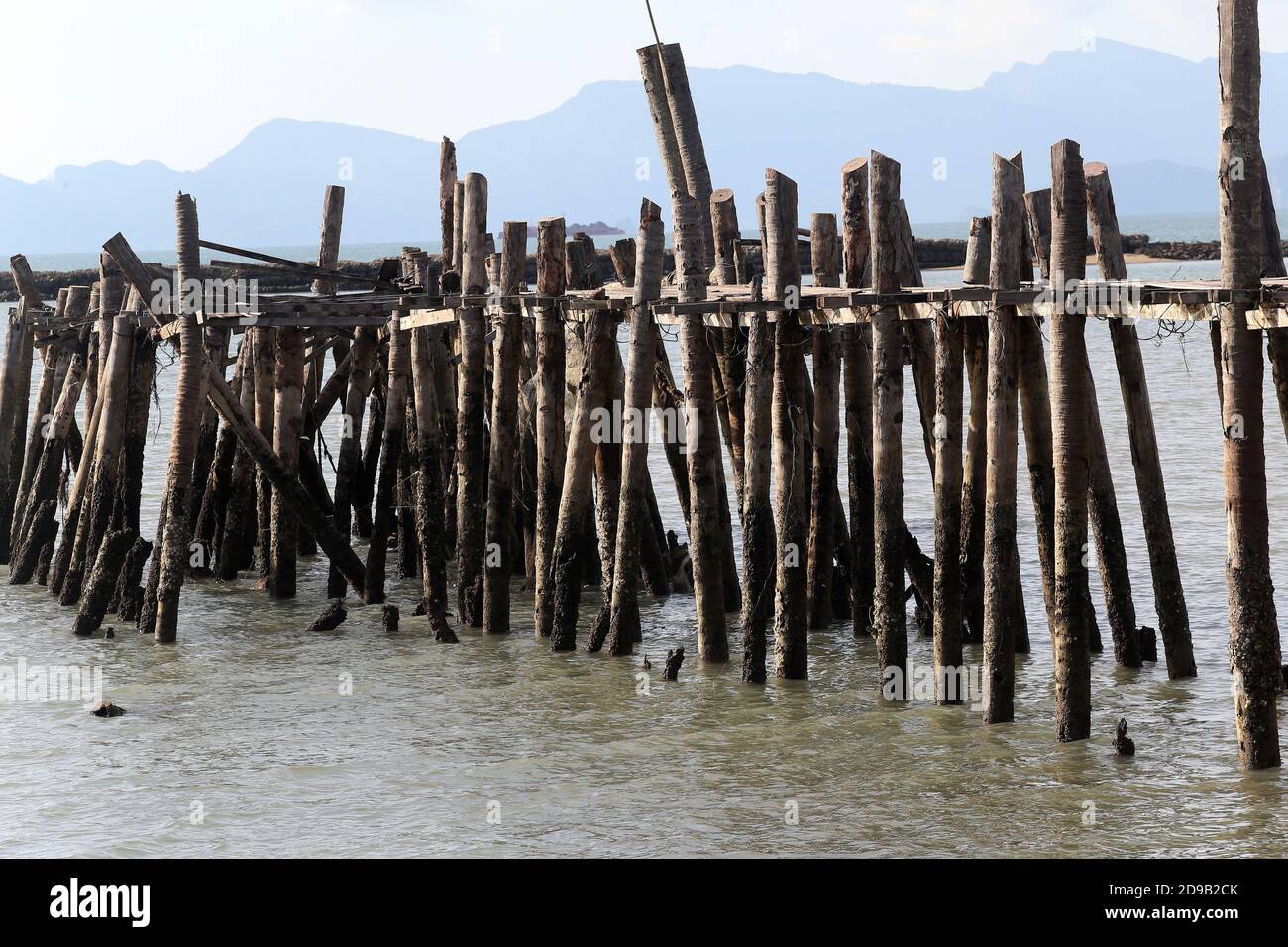 Old wood bridge to sea Stock Photo - Alamy