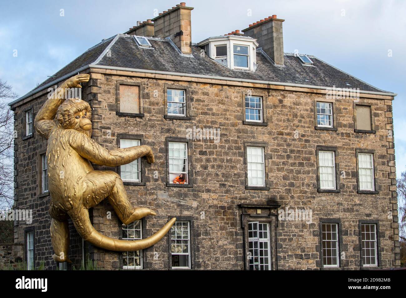 Events manager Alison Taylor takes a closer look at the Golden Monkey ...
