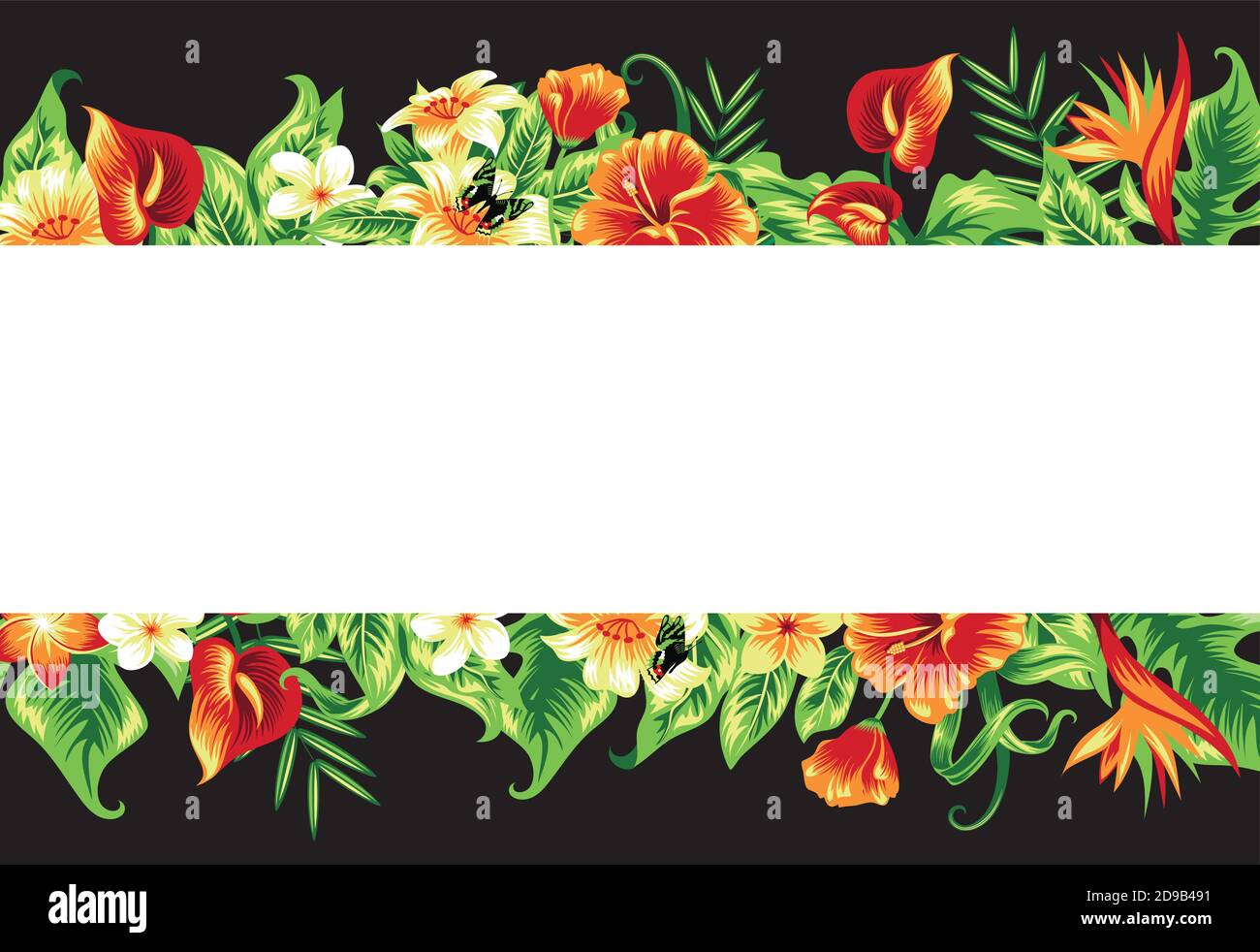Hawaiian flowers painting hi-res stock photography and images - Alamy