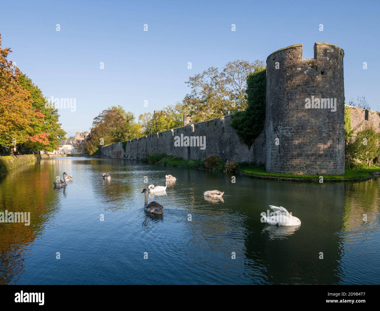 The Bishop's Palace moat and wall in autumn in the city of Wells ...