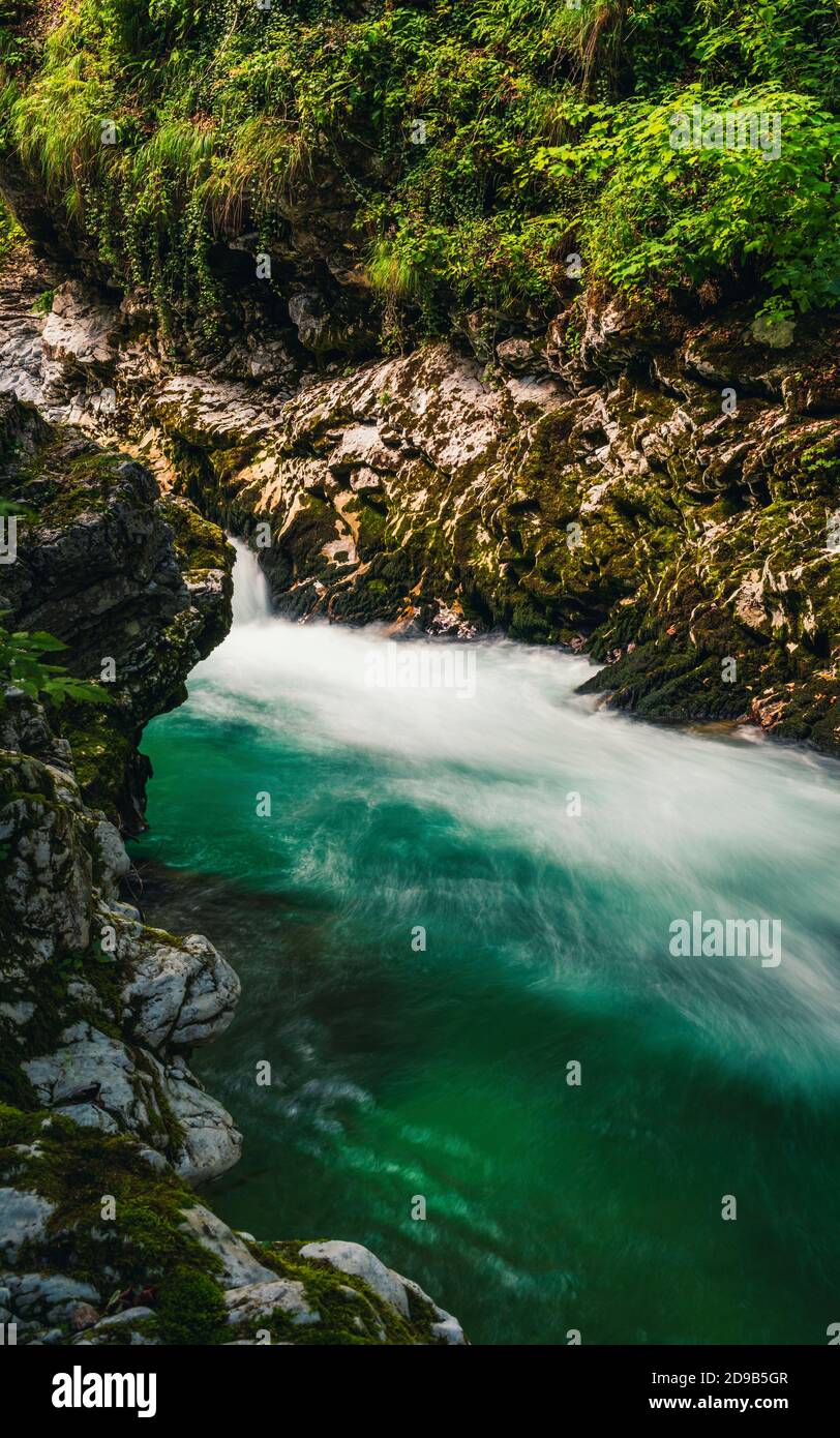 Radovna River in Vintgar Gorge in Slovenia in Europe Stock Photo - Alamy