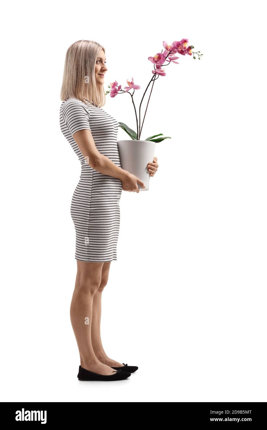 Blossom profile Cut Out Stock Images & Pictures - Alamy