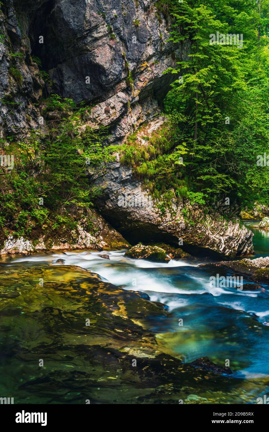 Radovna River in Vintgar Gorge in Slovenia in Europe Stock Photo - Alamy