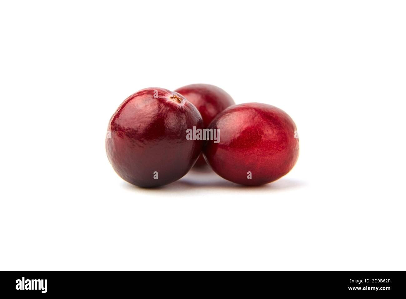 Cranberries isolated on white background. Three fresh swamp berries ...