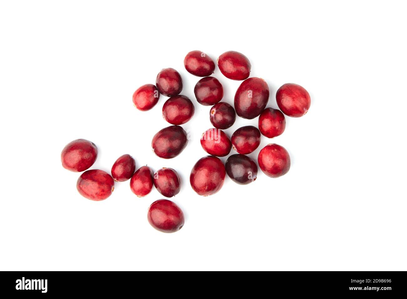 Cranberries isolated on white background. Heap of fresh red berries ...