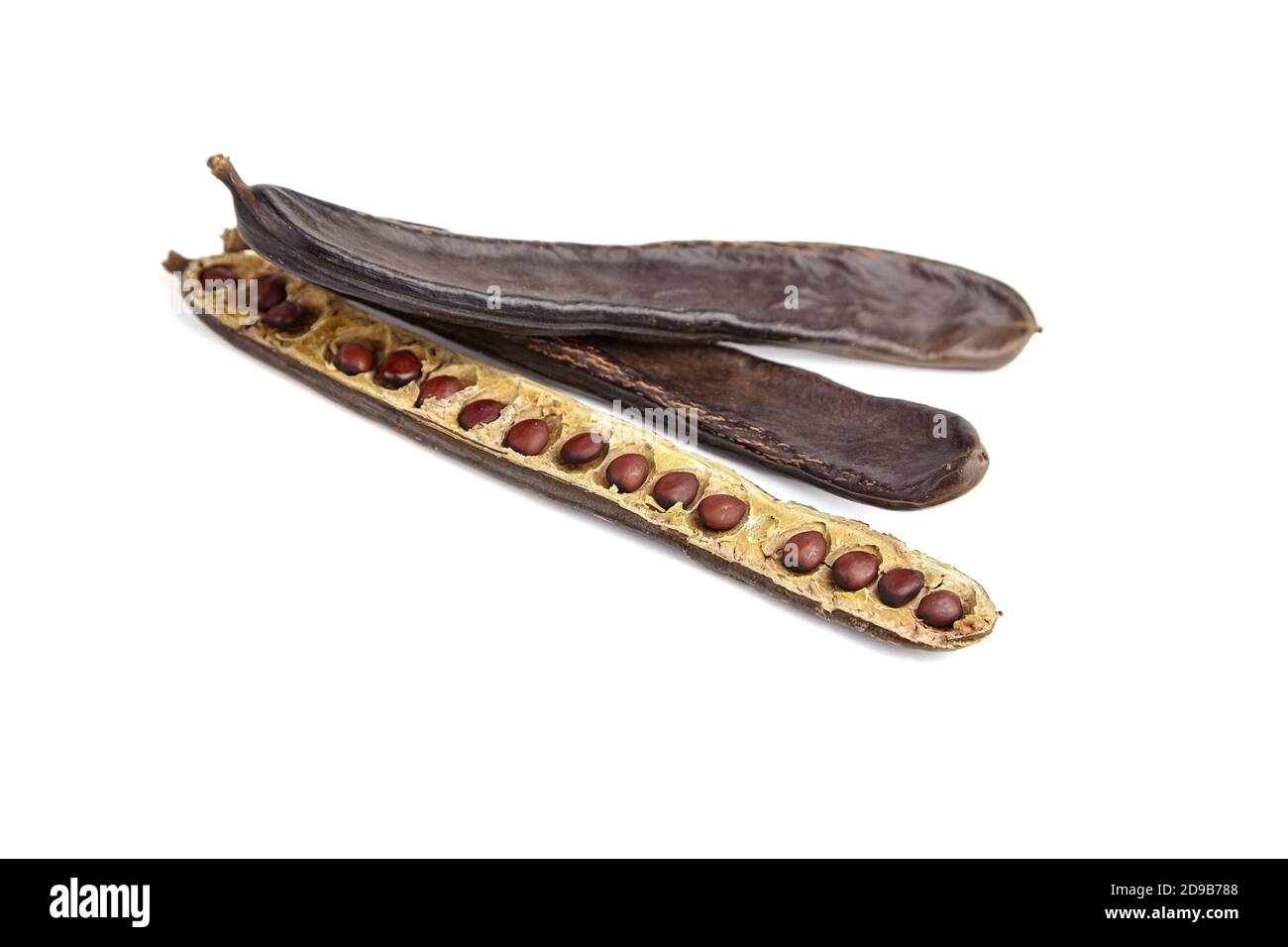 Dry carob fruit pods with seeds isolated on white background. Healthy ...