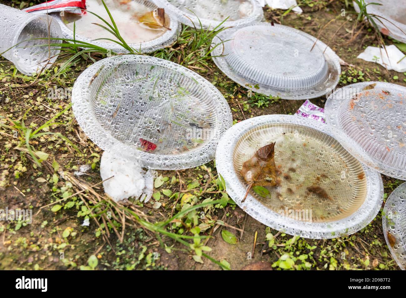 Still water collected on rubbish become breeding ground for mosquito ...