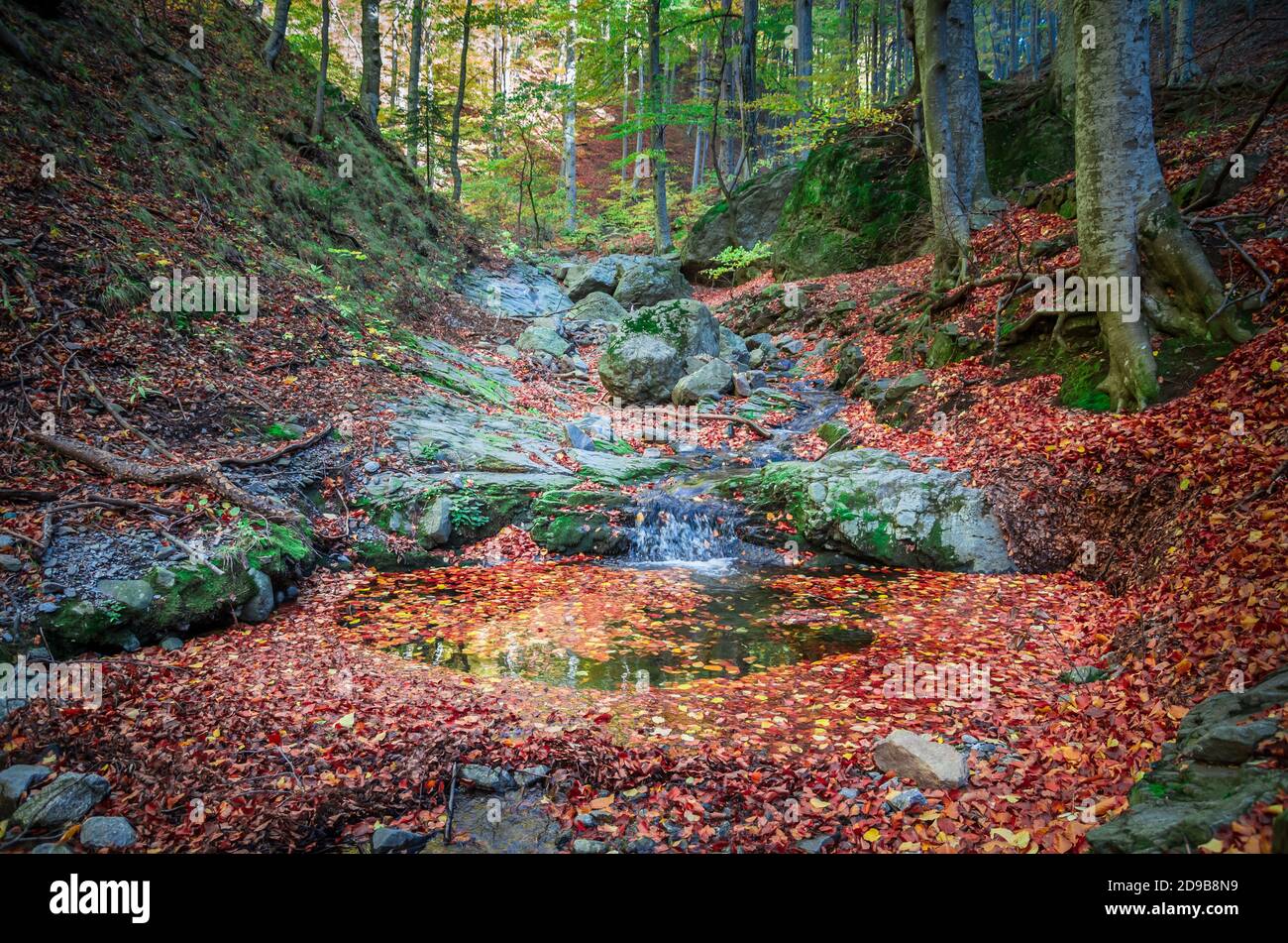 Runlet hi-res stock photography and images - Alamy