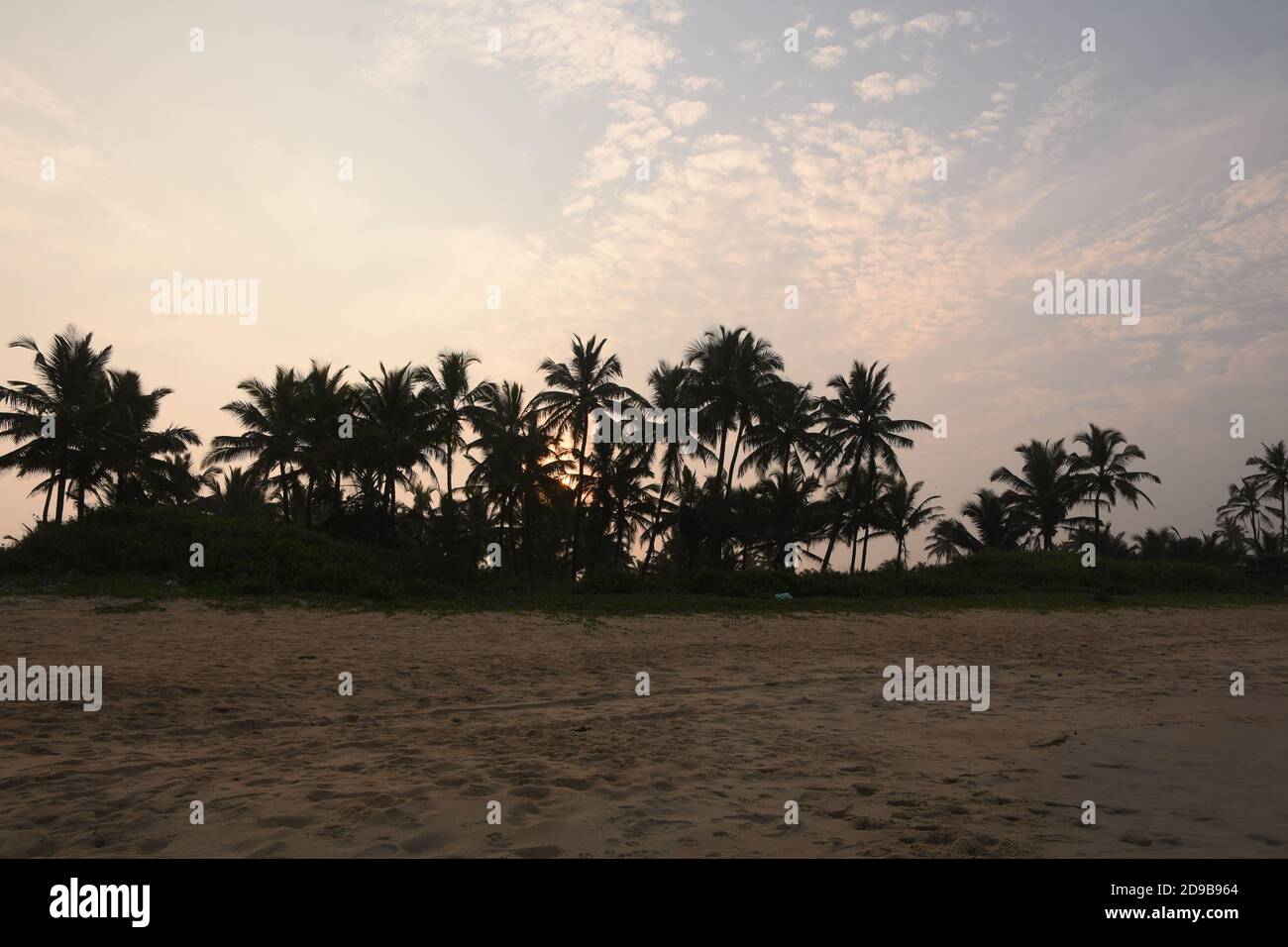 Coconut trees against sunrise background at Varca Beach Goa Stock Photo ...