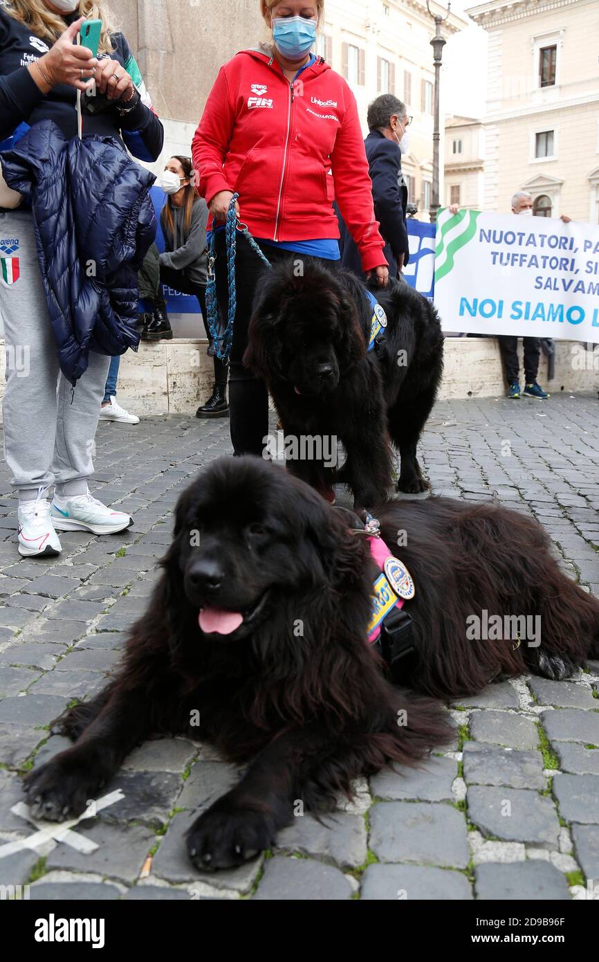 Rome, Italy. 04th Nov, 2020. Water rescue dogs during the demonstration ...