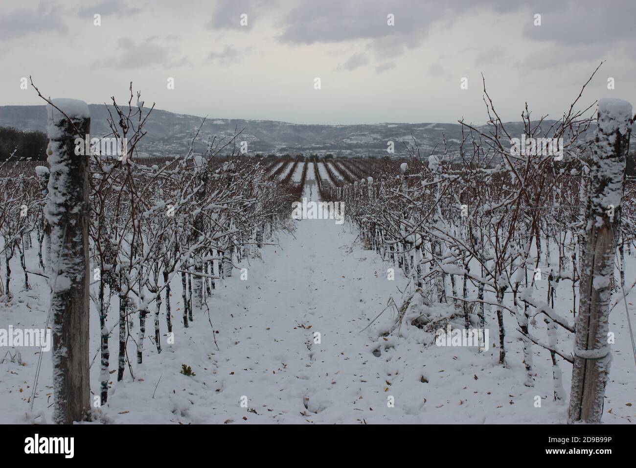 Winter natural forms hi-res stock photography and images - Alamy