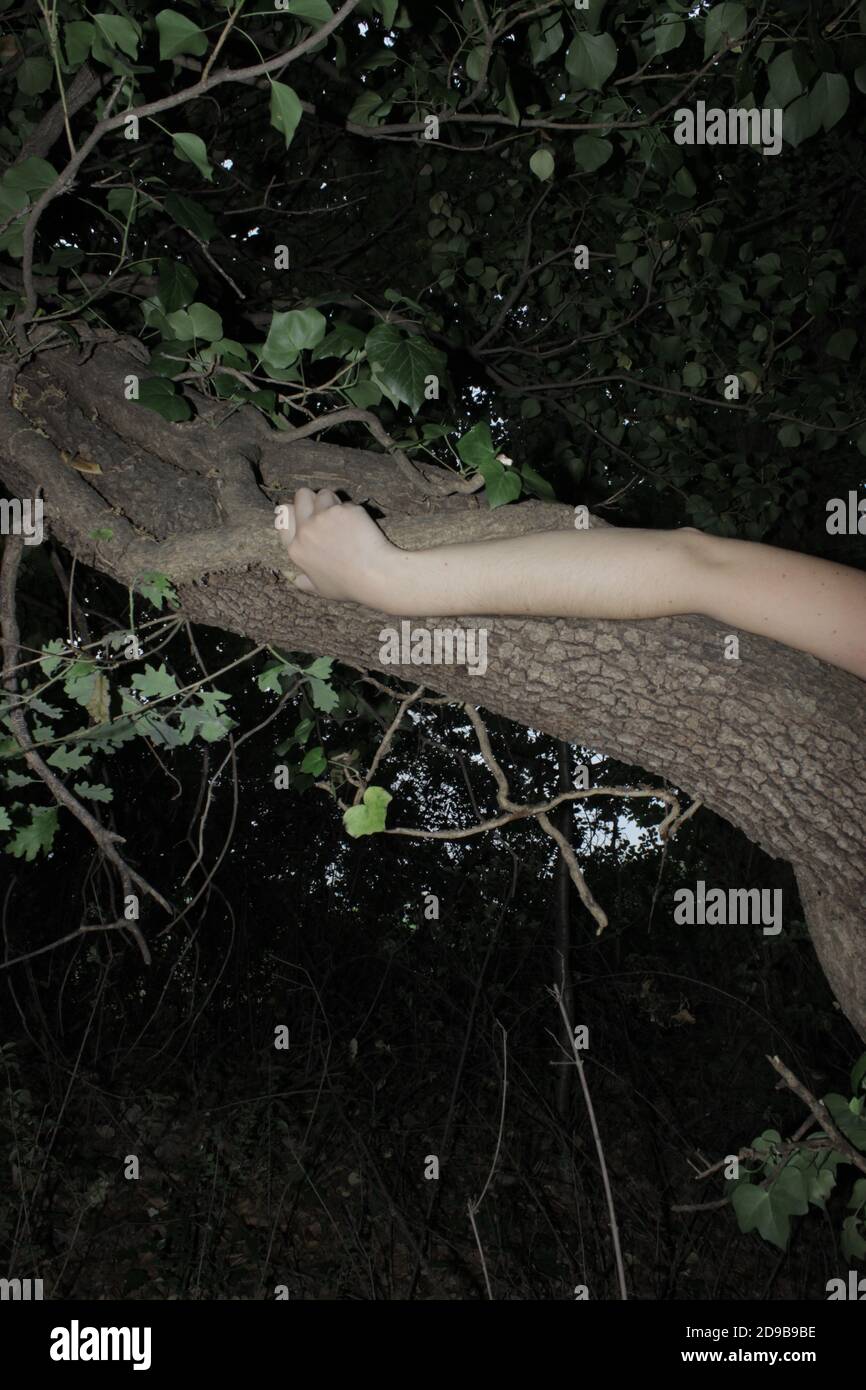 Nature fusion, hand Stock Photo - Alamy