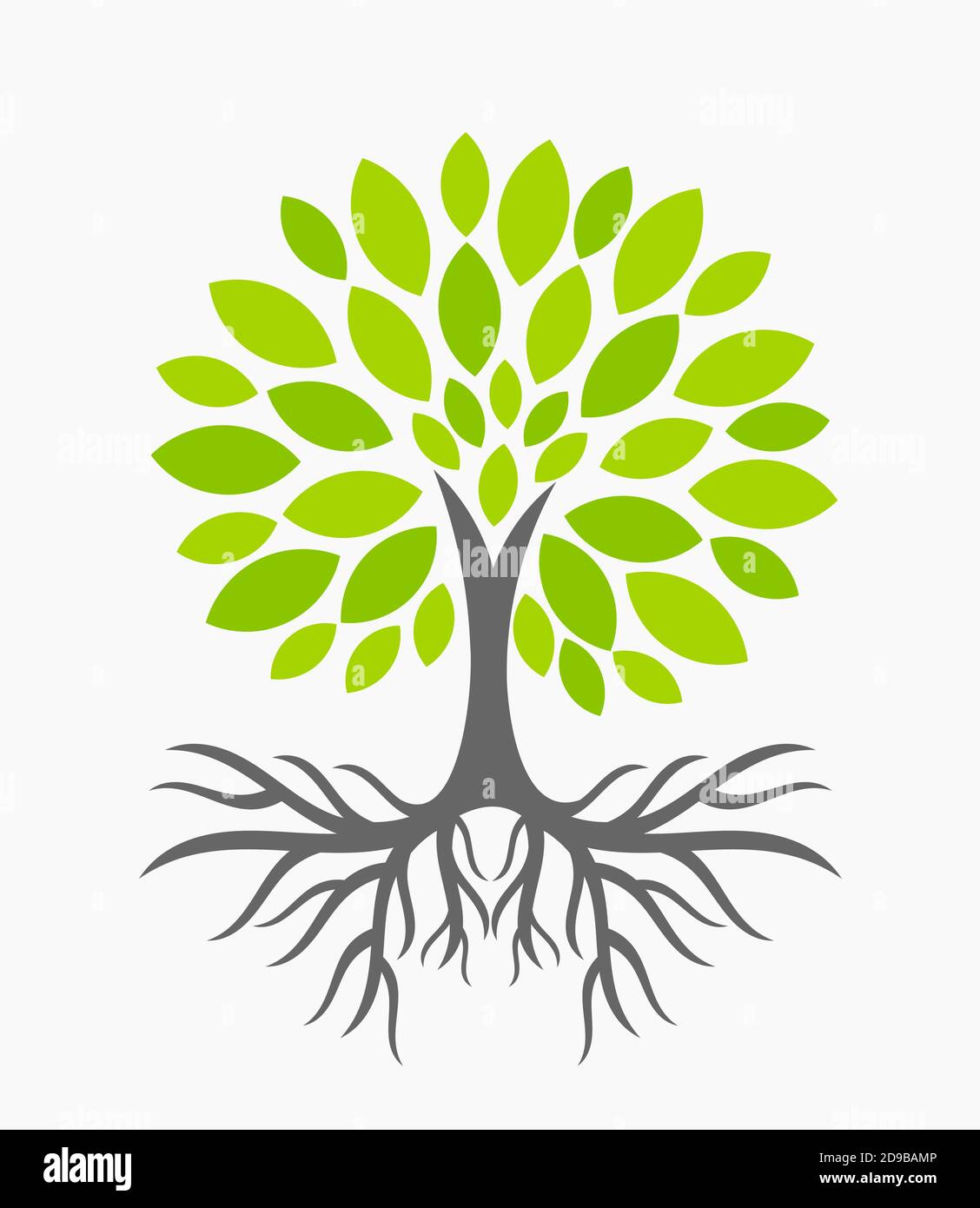 Eco tree with roots. Vector illustration Stock Vector Image & Art - Alamy