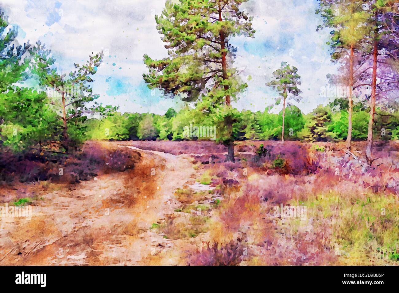 Watercolor illustration of heath flower landscape in Germany Stock ...