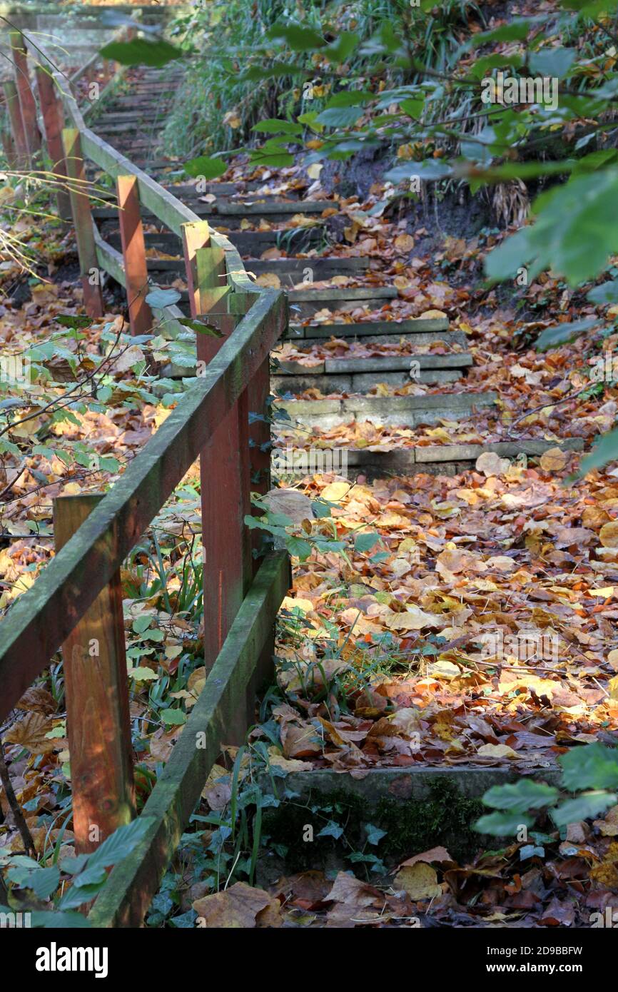 River ayr walk hi-res stock photography and images - Alamy