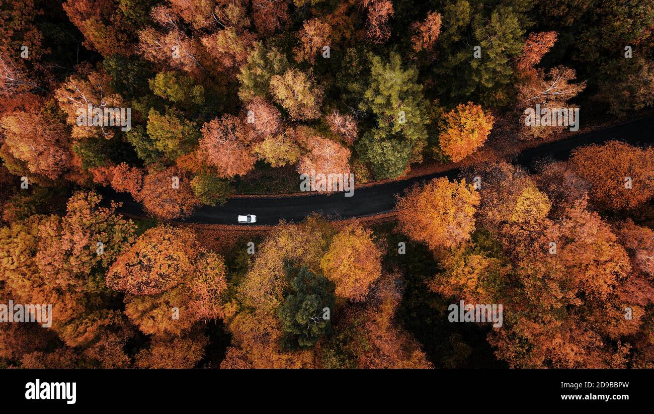Birdseye view of road hi-res stock photography and images - Alamy