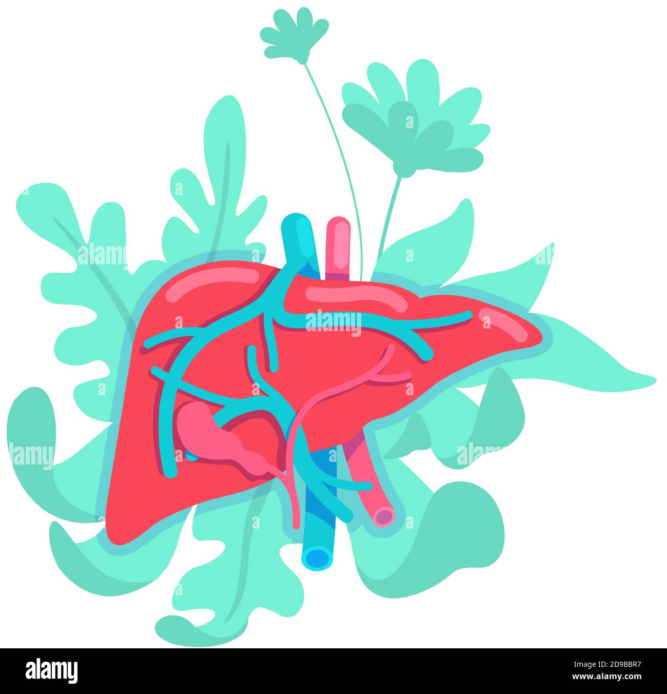 Anatomical liver flat concept vector illustration Stock Vector Image ...