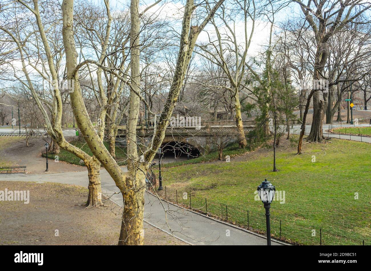 Beautiful Sunny Morning in a Park. Natural Landscape with a System of ...
