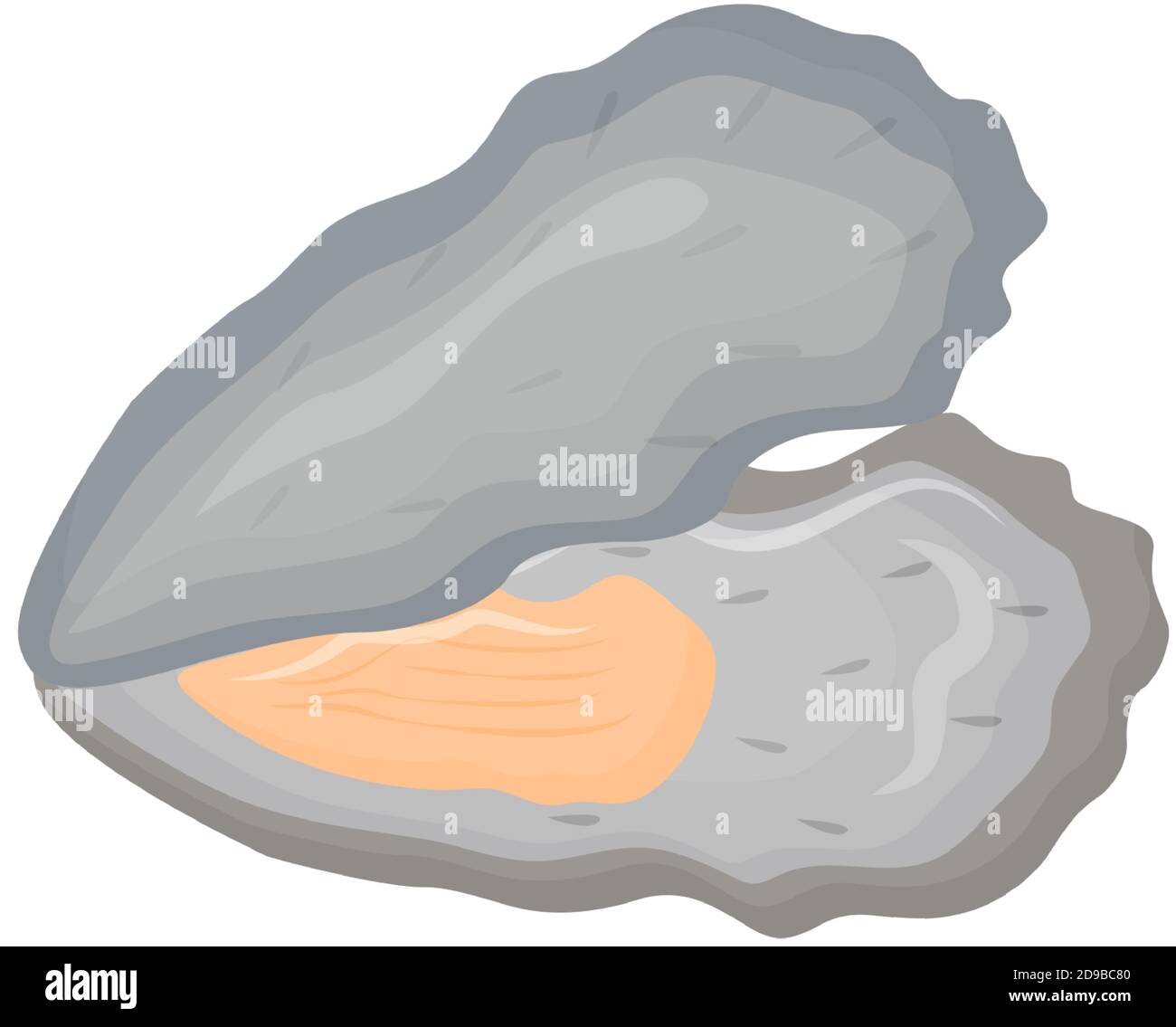 Opened oyster shell cartoon vector illustration Stock Vector Image ...