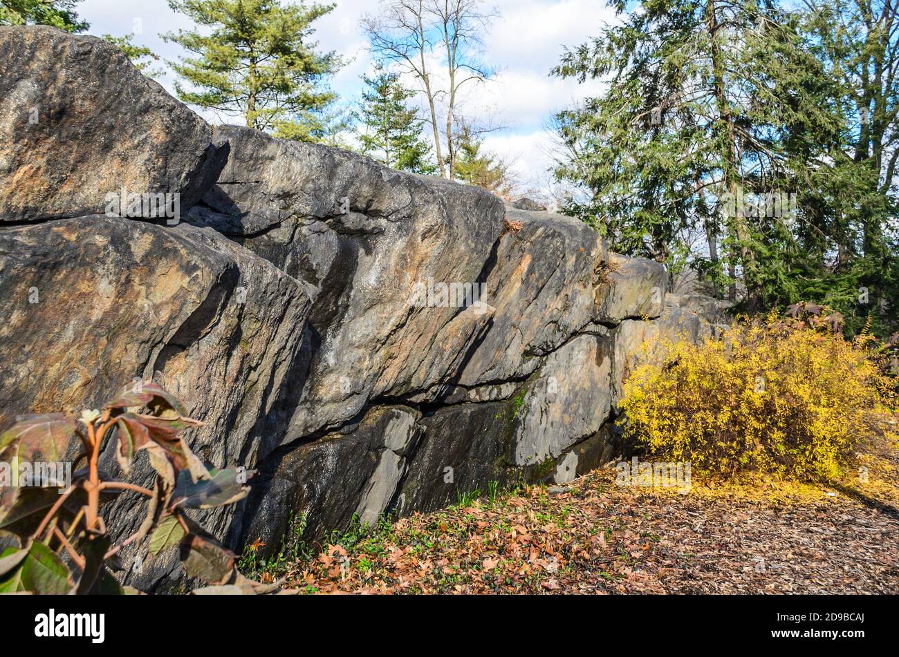 Natural Environment with Granite Rock and Trees in Central Park ...