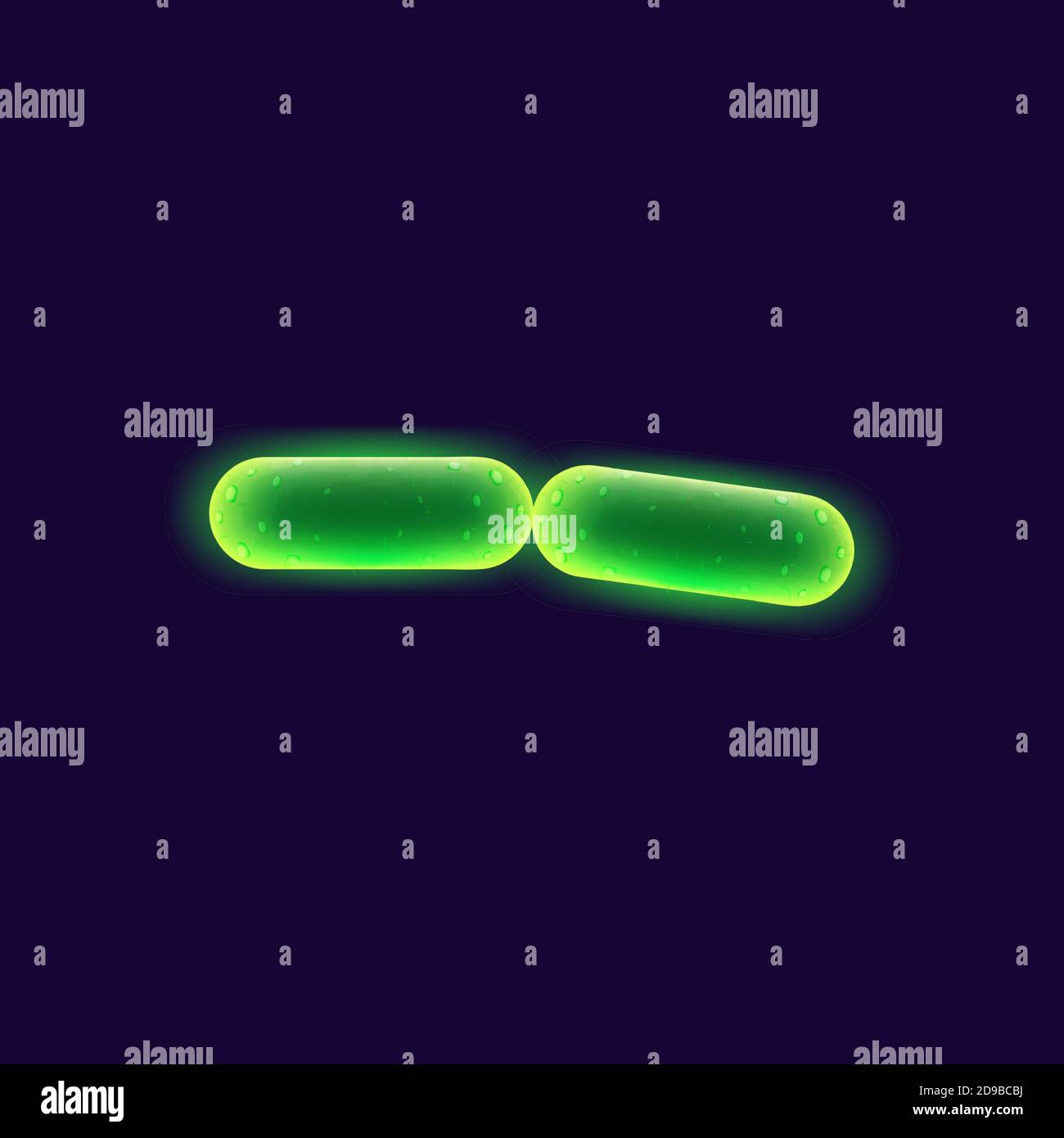 Bacteria cell realistic vector illustration Stock Vector Image & Art ...