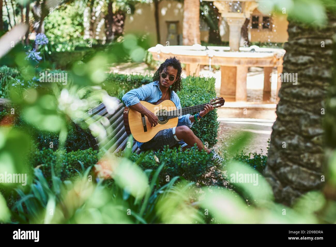 Guitar and music under a tree hi-res stock photography and images - Alamy