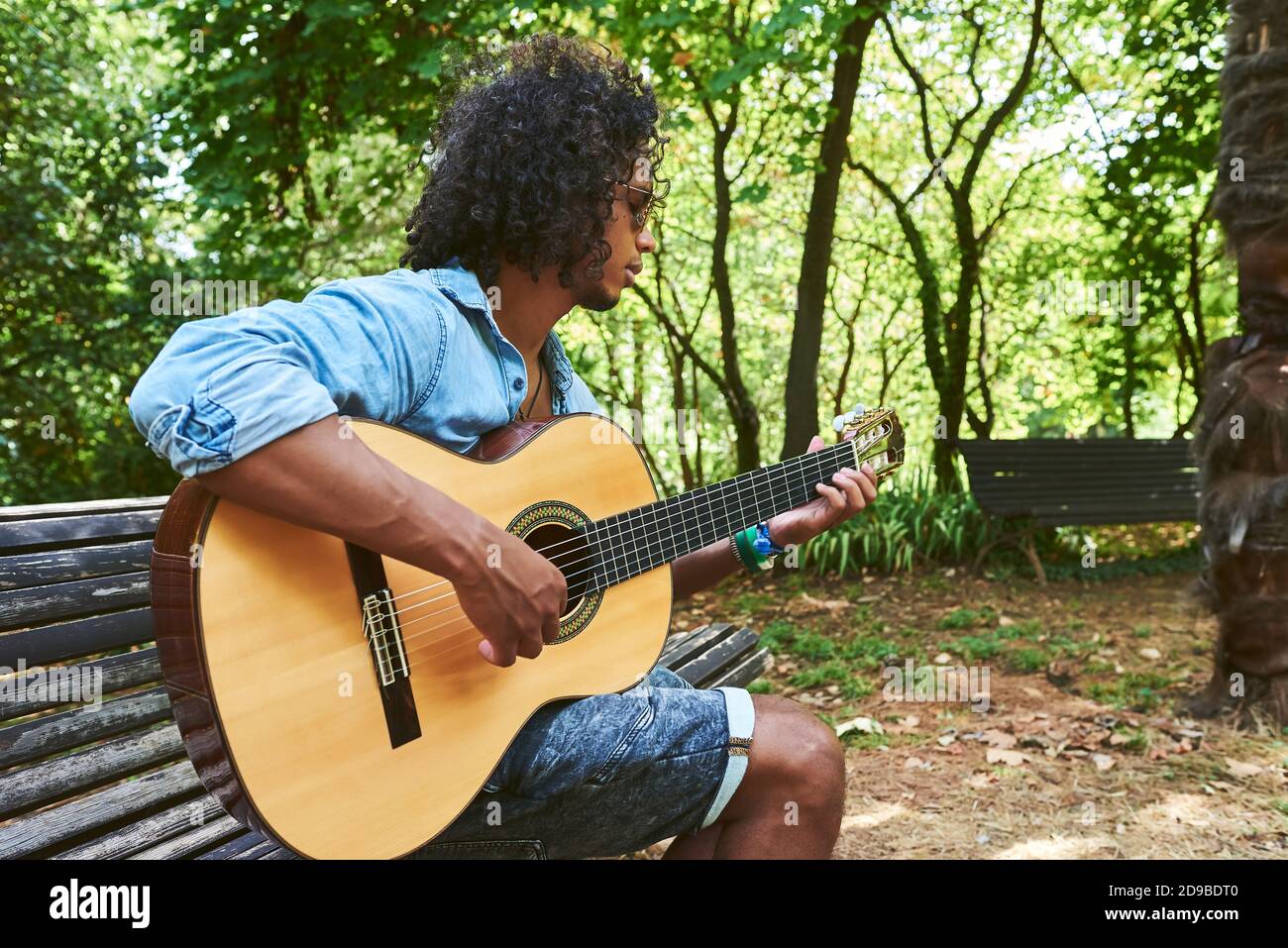 Young musician with classical guitar playing under the shade of some ...