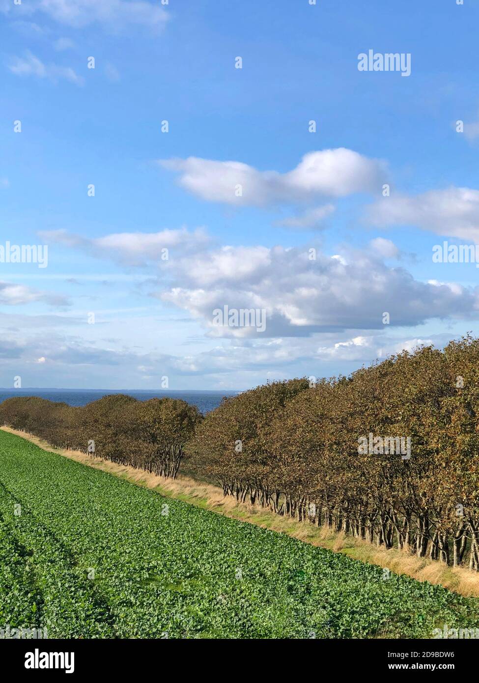 Samso denmark hi-res stock photography and images - Alamy